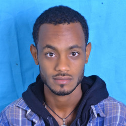 Albrecht IFPUG Function Point Analysis | Free Online Course | Alison